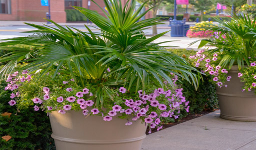 Kumar Magnacity 2 BHK & 3 BHK Homes in Hadapsar Link Road, Pune